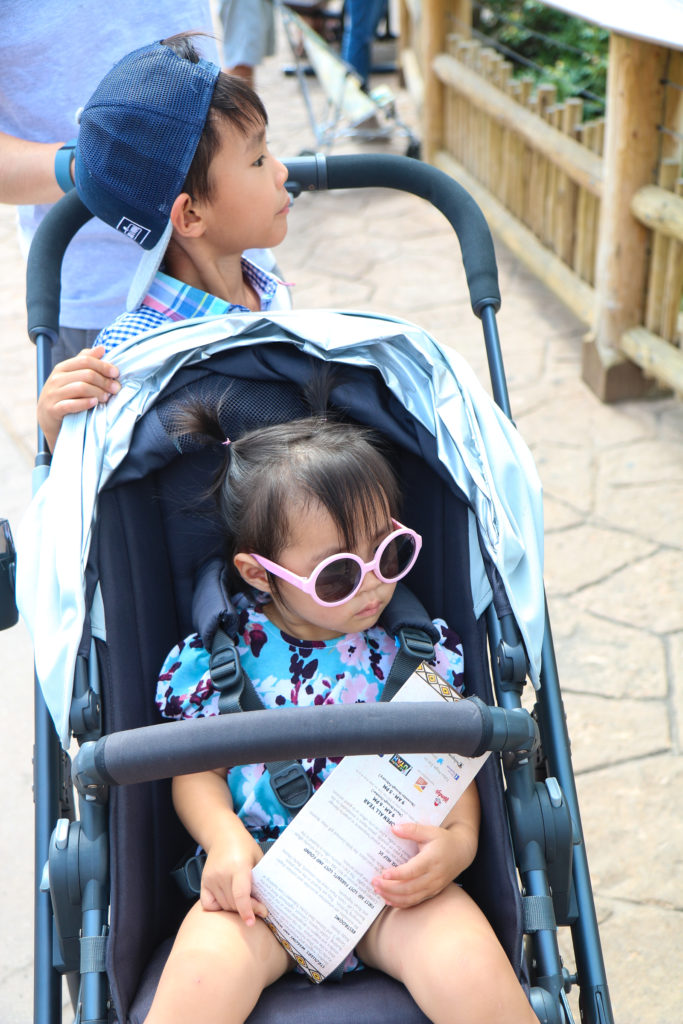7 Tips For A Successful Zoo Trip With Little Kids | SandyALaMode