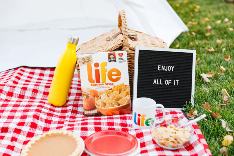 A Little Fall Family Picnic (And A How To)! | SandyALaMode