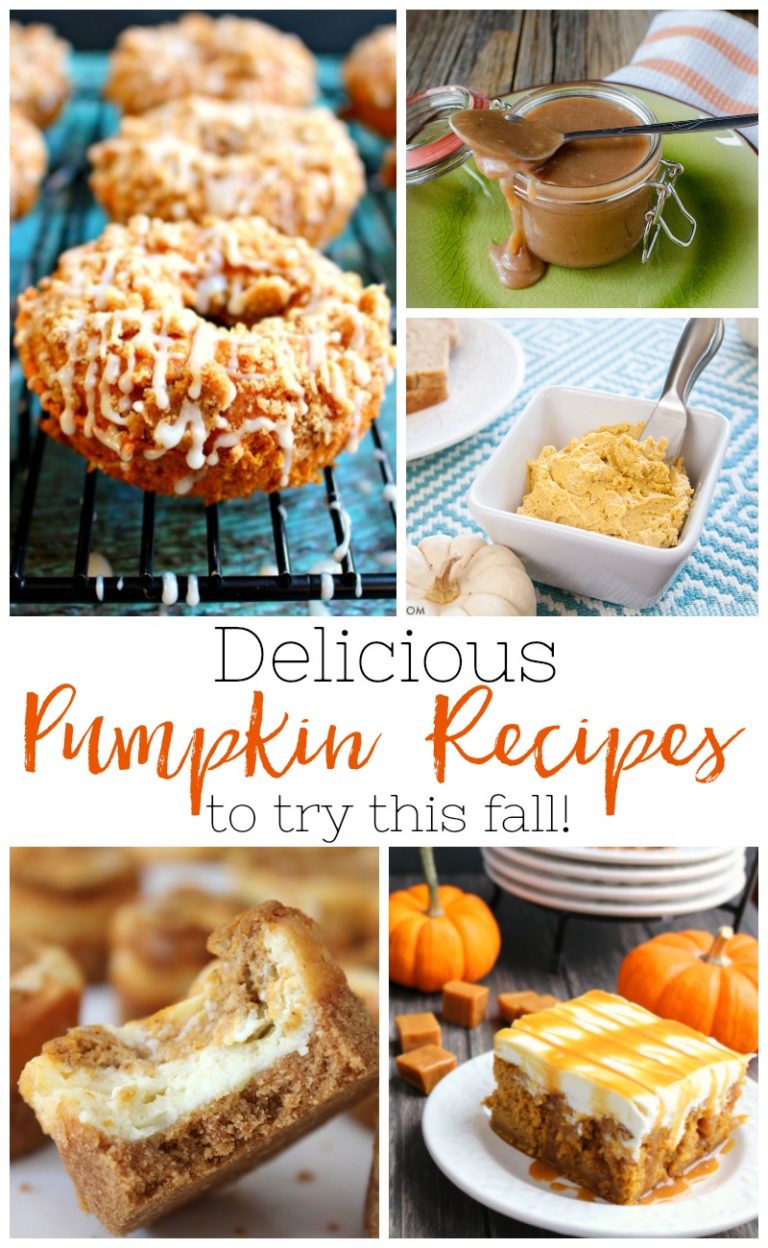 11 Delicious Pumpkin Recipes To Try This Fall! | SandyALaMode